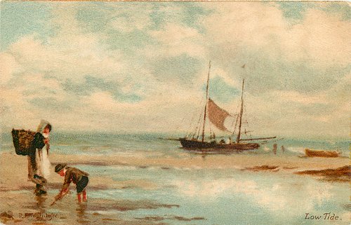 TuckDB Postcards - Collectors Guide