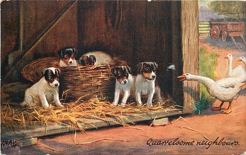 TuckDB Postcards - Collectors Guide