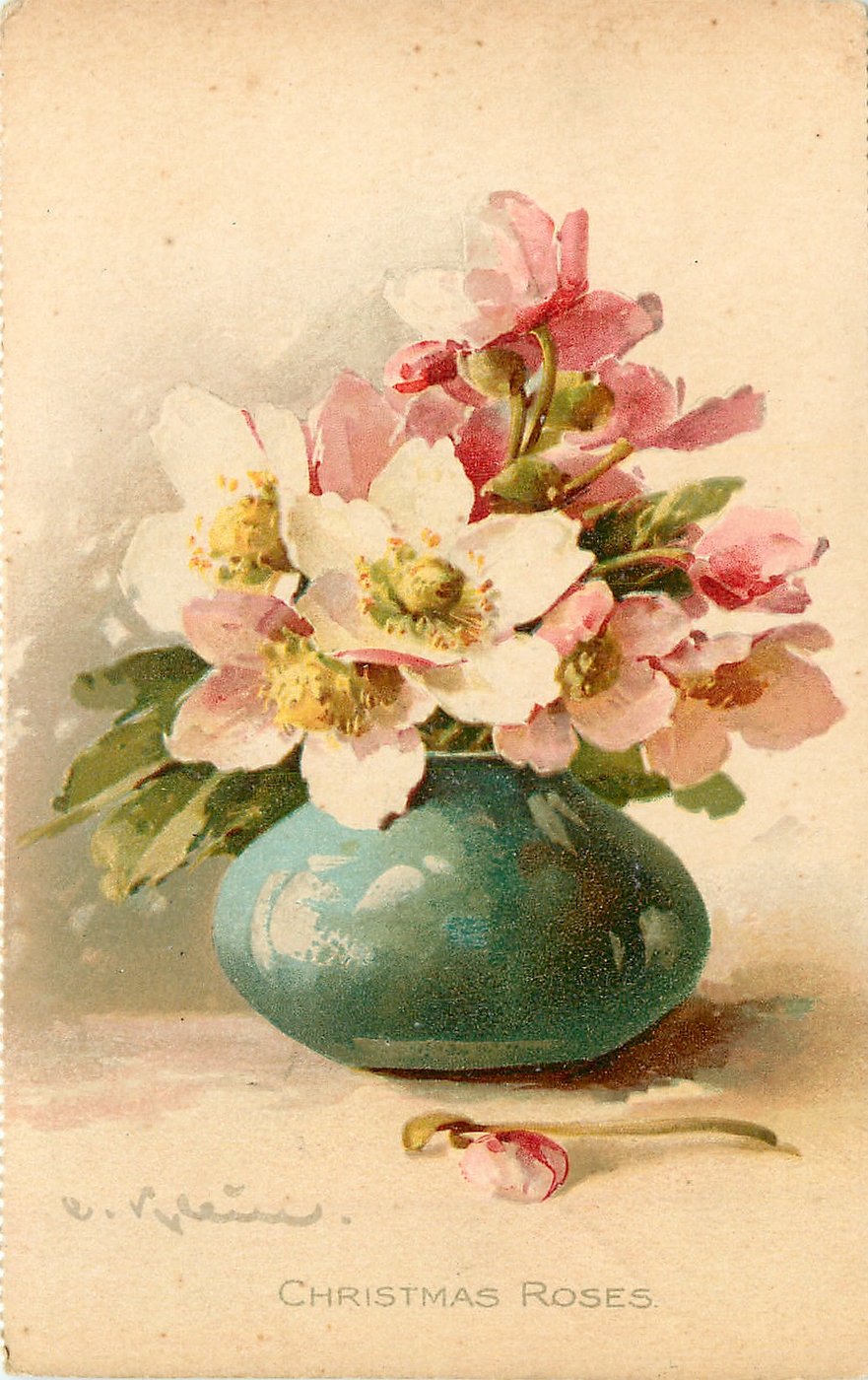 CHRISTMAS ROSES - TuckDB Postcards