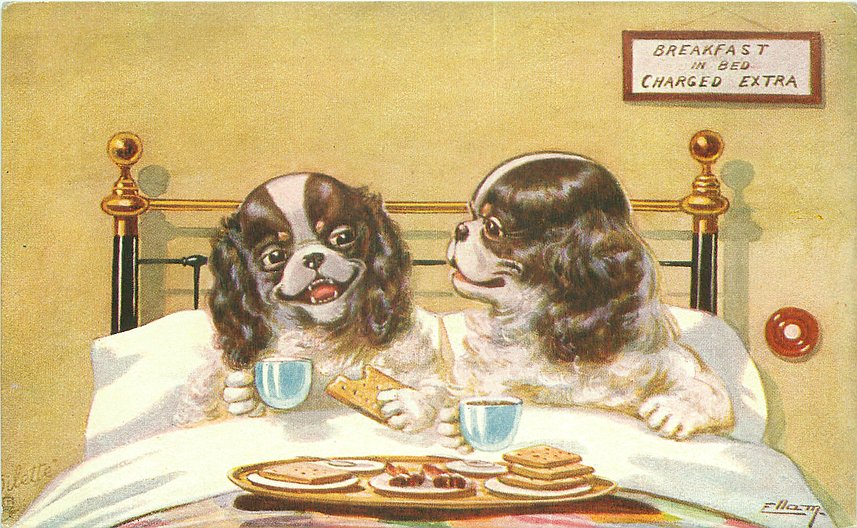 TuckDB Postcards - Collectors Guide