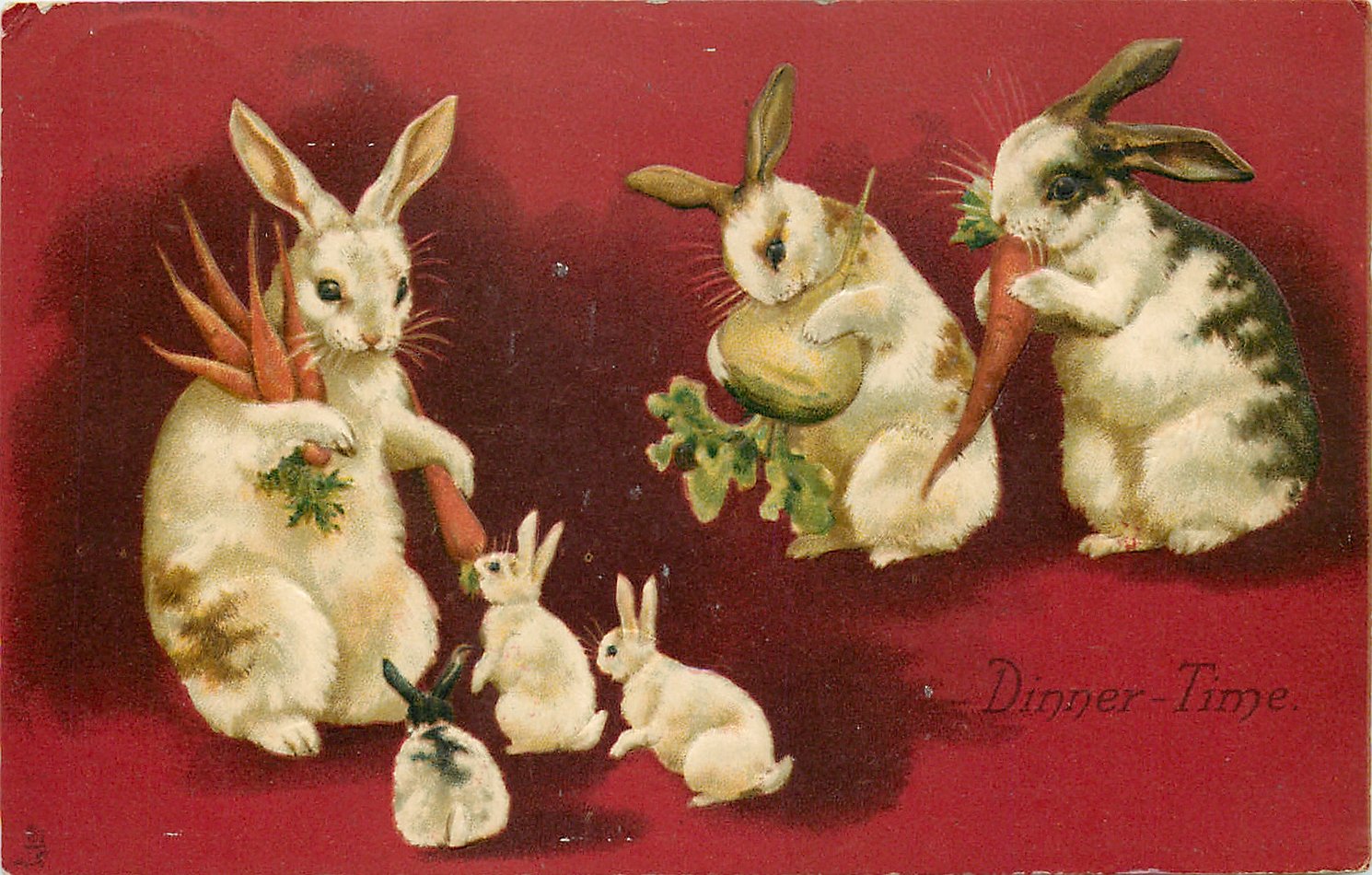 DINNER - TIME rabbits - TuckDB Postcards