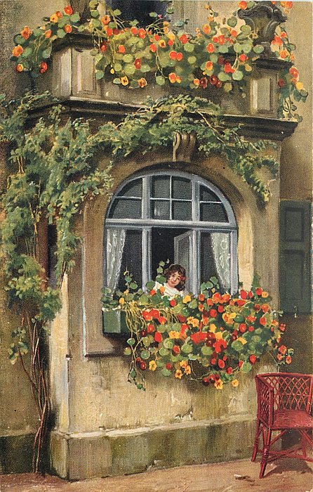 nasturtiums in window box below girl looking out of window - TuckDB ...