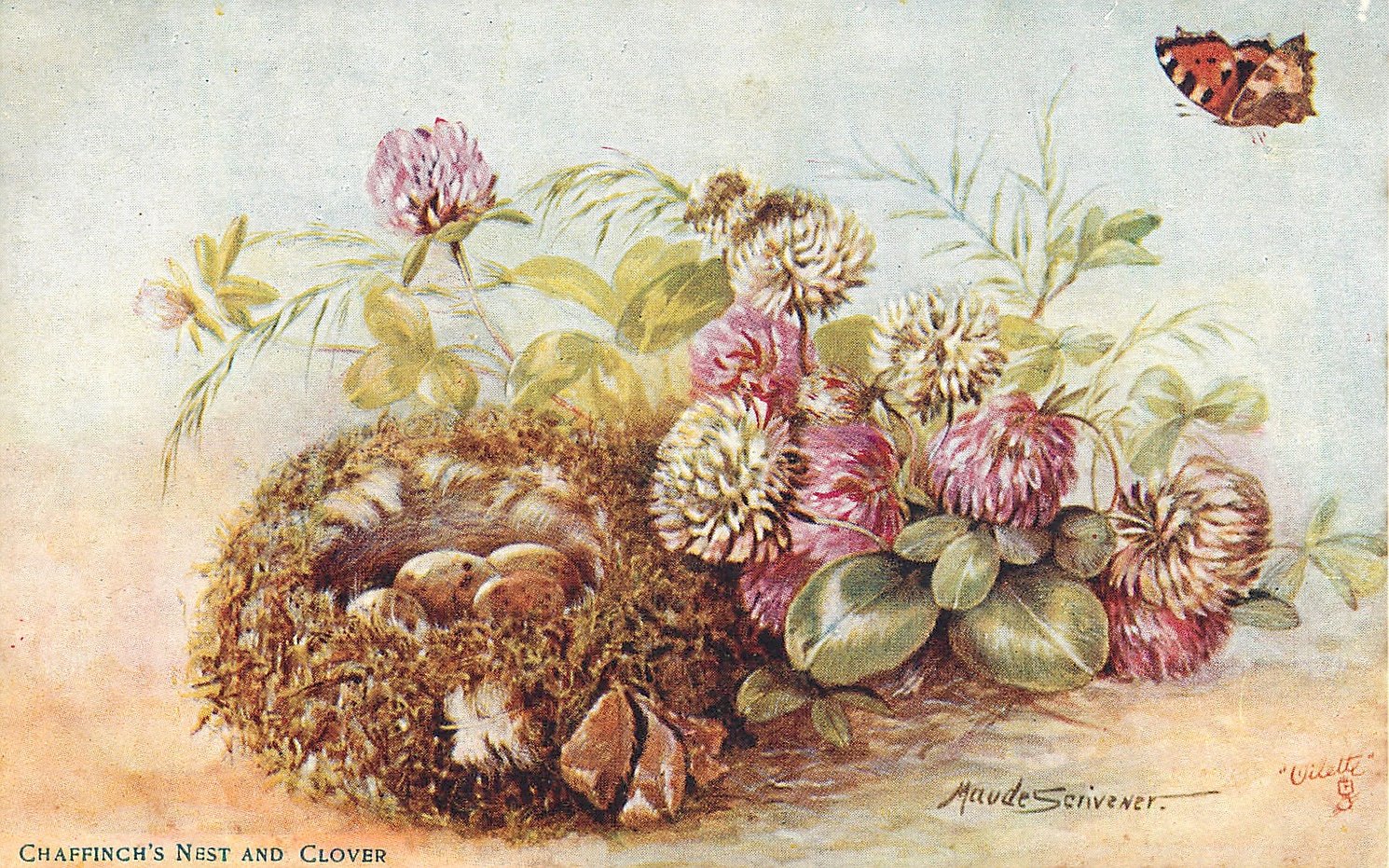 CHAFFINCHES NEST AND CLOVER - TuckDB Postcards