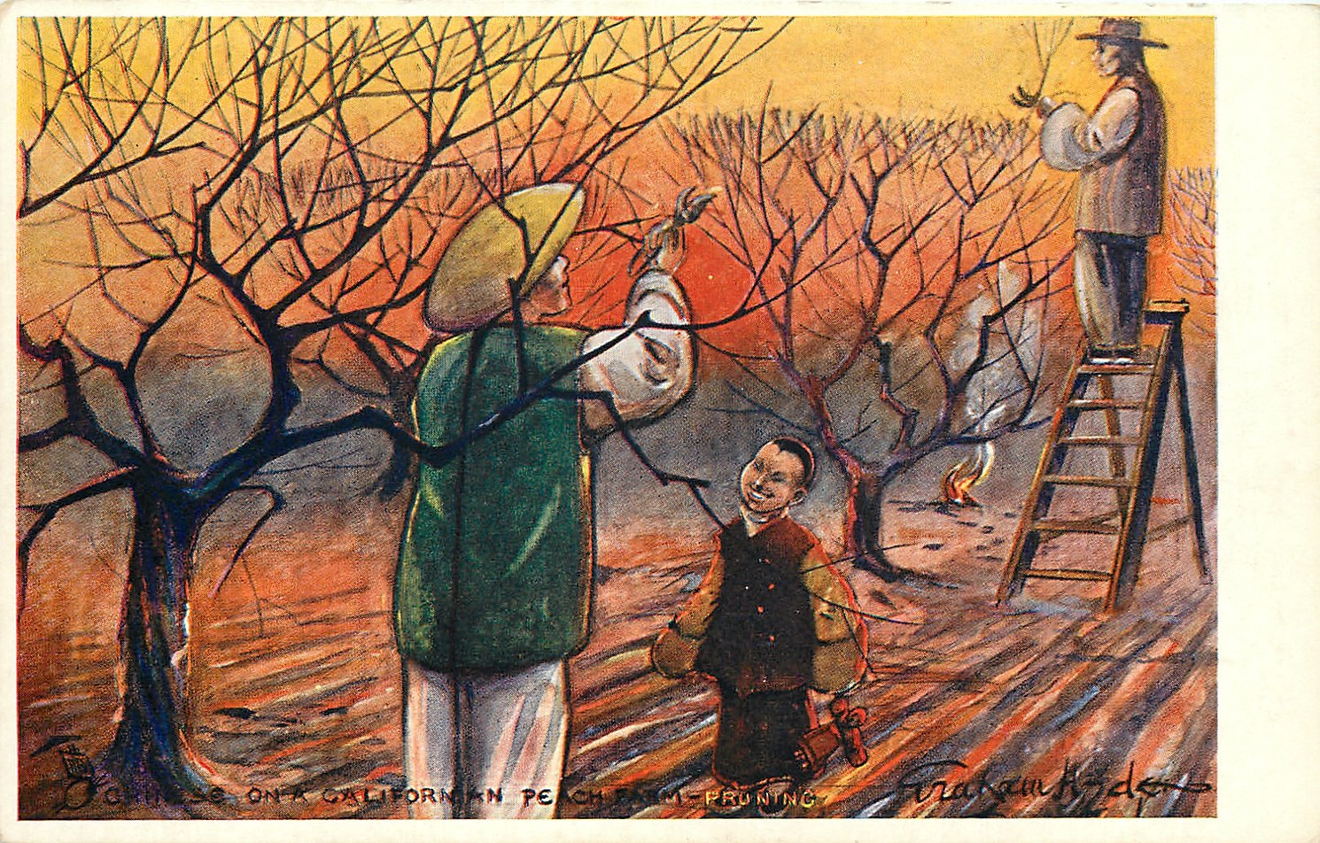 TuckDB Postcards - Collectors Guide