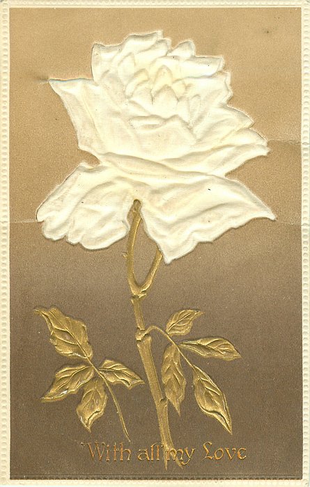 WITH ALL MY LOVE two stalks below white rose, brown background - TuckDB ...