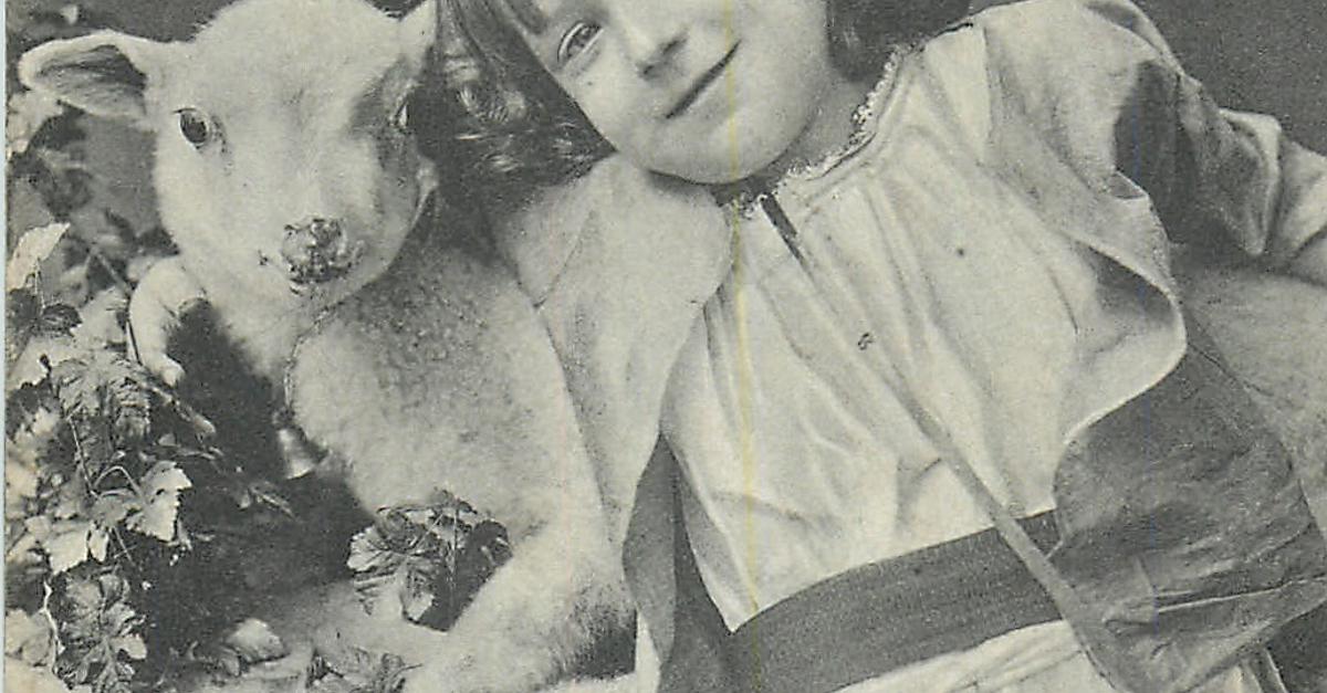 Set: Easter, boy with lamb - TuckDB Postcards
