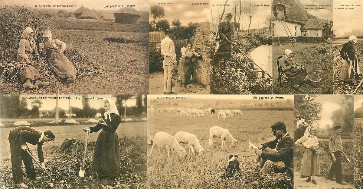 Set: LES PAYSANS DE FRANCE (1904 list) - TuckDB Postcards