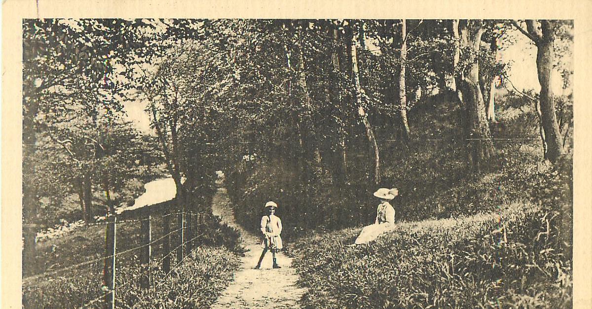 Set: BROUGHTY FERRY, ANTIQUE COLLOTYPE - TuckDB Postcards