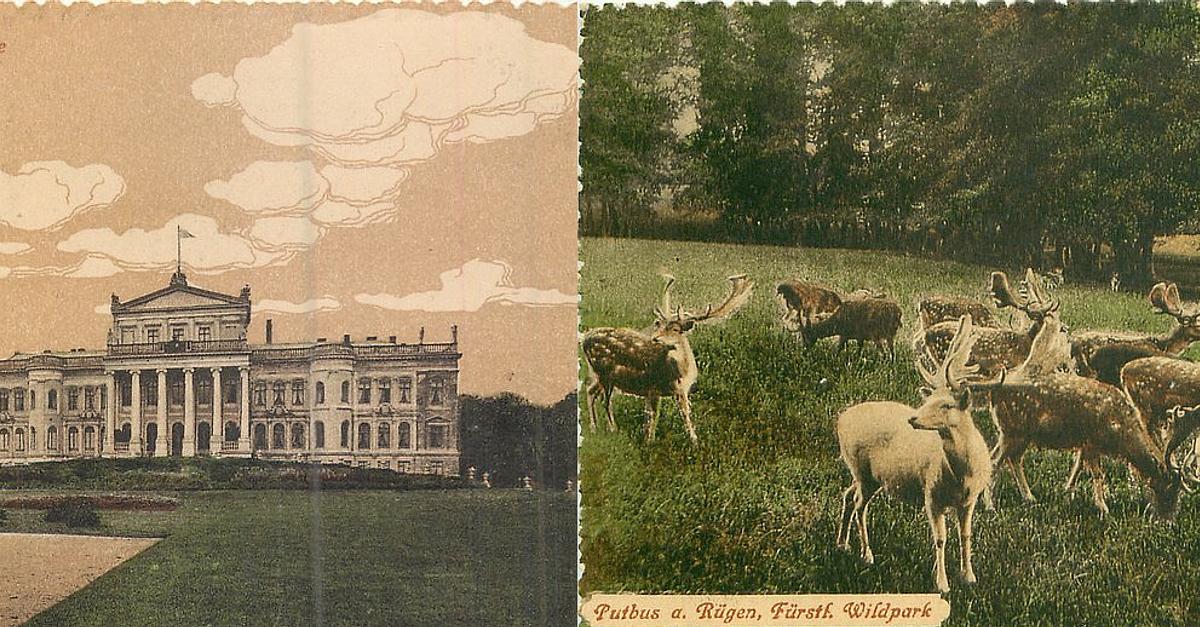 Set: PUTBUS A. RUGEN - TuckDB Postcards