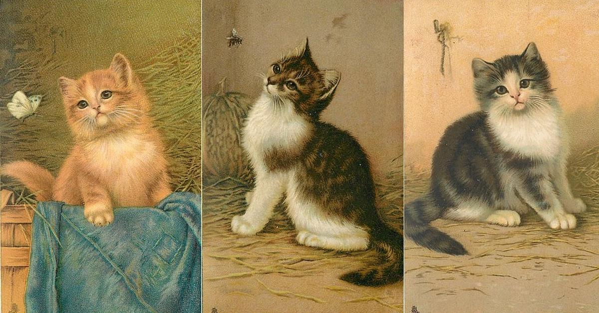 Set: kittens (6767) - TuckDB Postcards