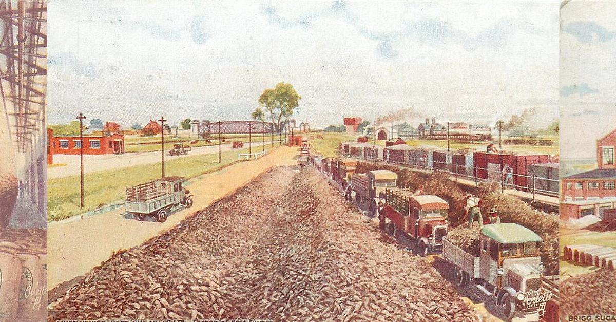 Set: LINCOLNSHIRE BEET SUGAR CO. LTD. - TuckDB Postcards