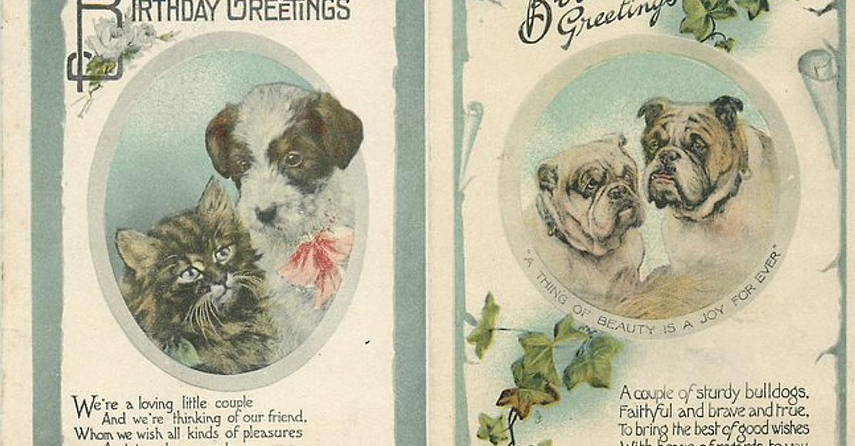 Set: Birthday greetings, dogs and cats - TuckDB Postcards