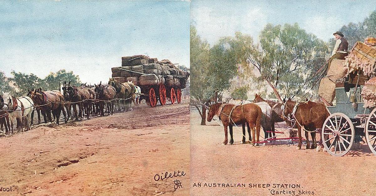 Set: AN AUSTRALIAN SHEEP STATION, SERIES I - TuckDB Postcards