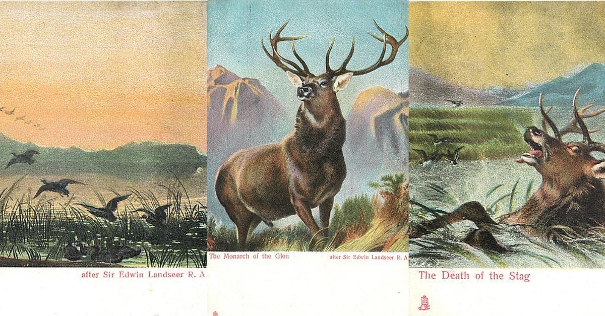 Set: famous pictures, majestic stag, (series I.) - TuckDB Postcards